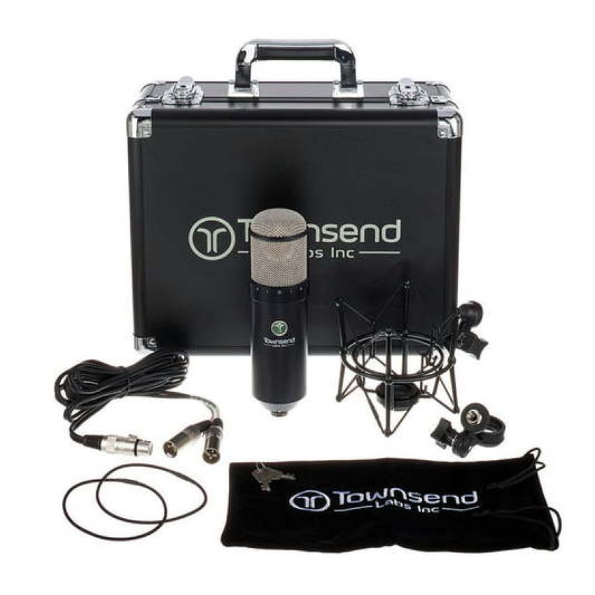 Конденсаторные микрофоны TOWNSEND Labs Sphere L22 Mic System купить в ...
