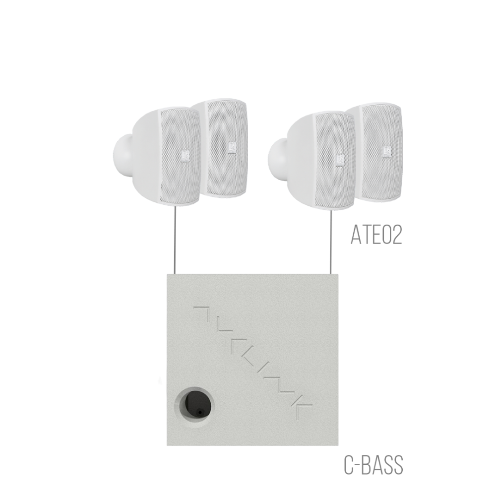 Трансляционные комплекты AVCLINK LIGHT/W купить в Москве с доставкой